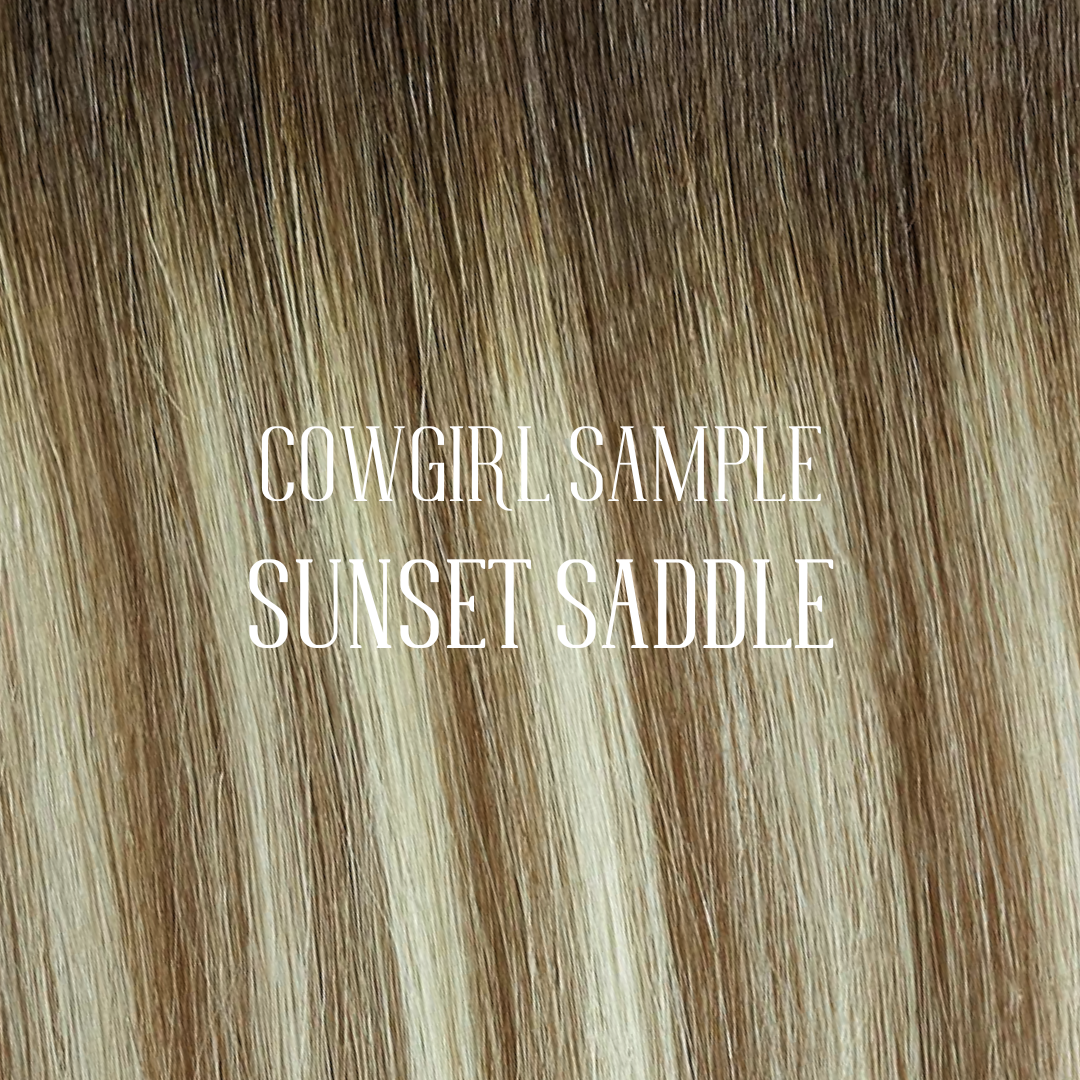 Sunset Saddle - Color Sample – The Frosted Cowgirls